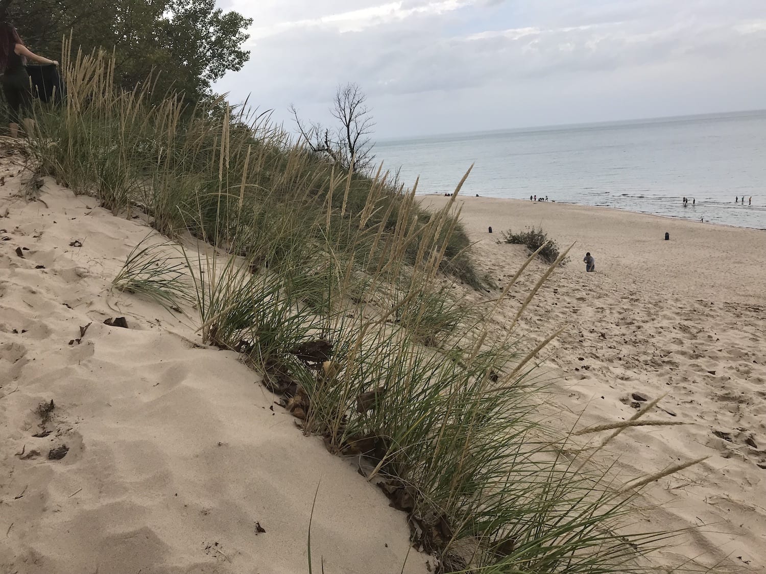 Indiana Dunes State Park: Chesterton IN - State by State Travel