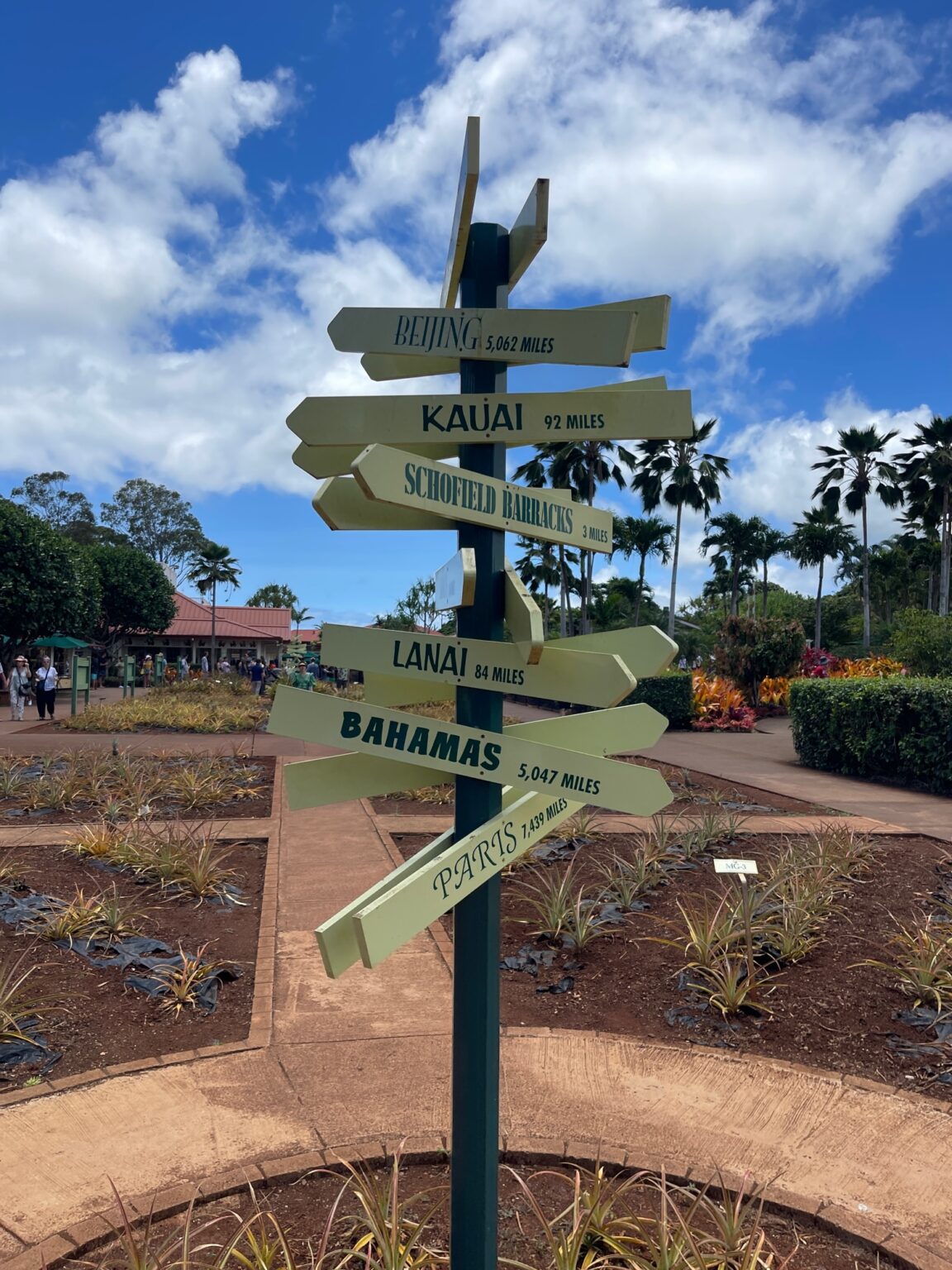 Visiting Dole Plantation - State by State Travel