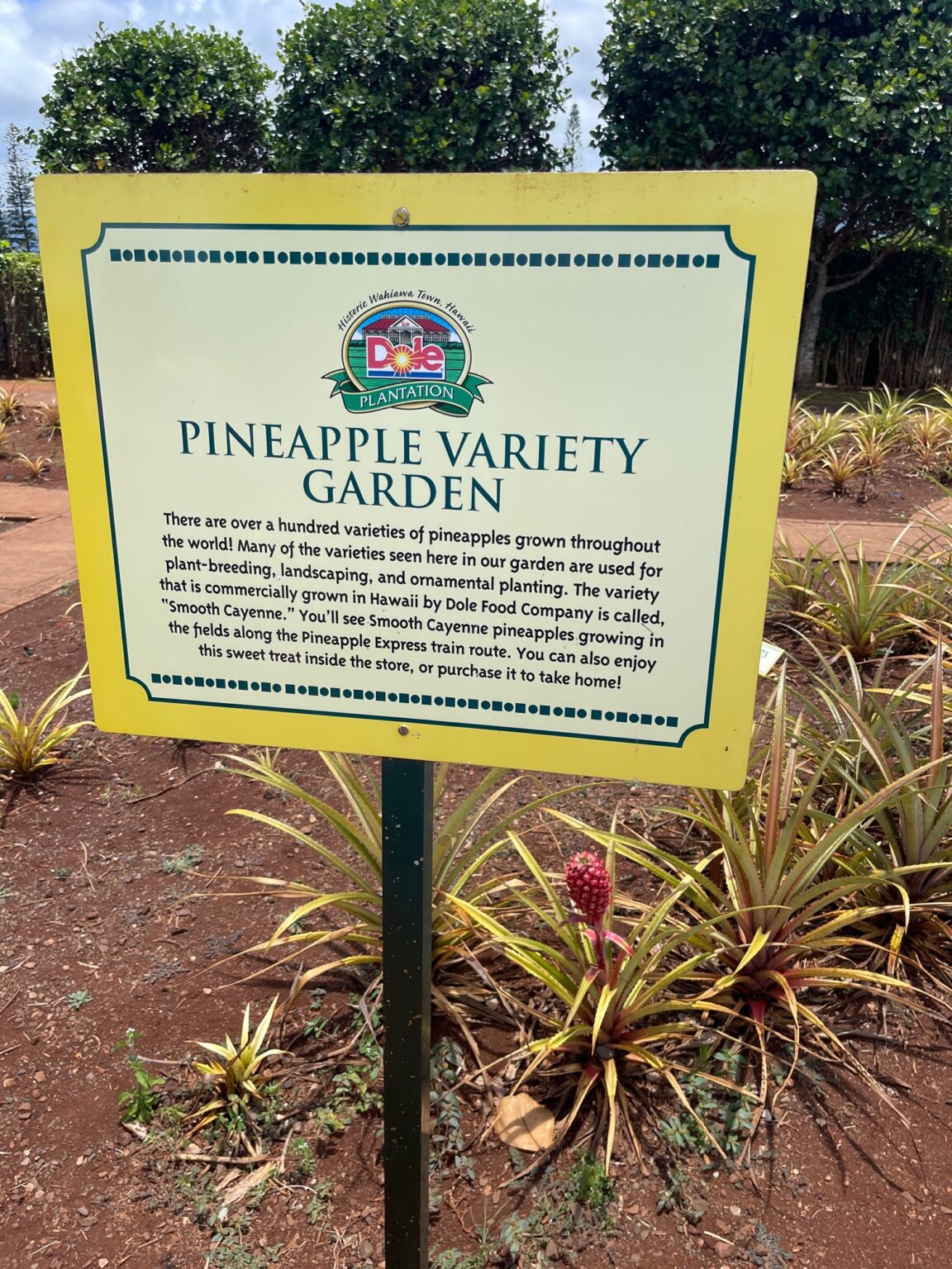 Visiting Dole Plantation - State by State Travel